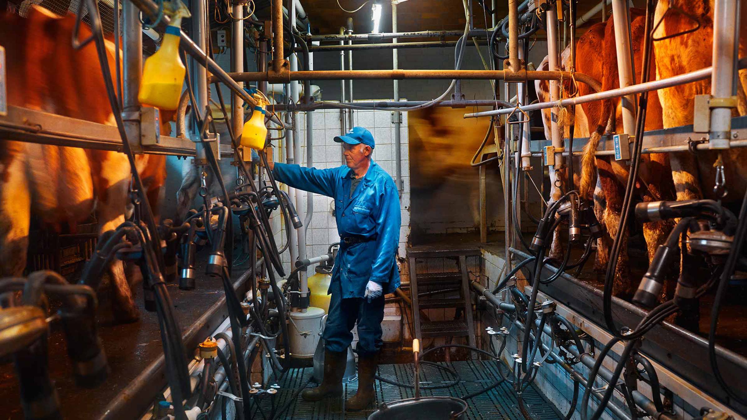 Arla Landmarks | Arla Foods dairy product provides you with natural ...