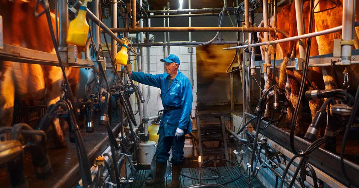 Arla Landmarks | Arla Foods dairy product provides you with natural ...